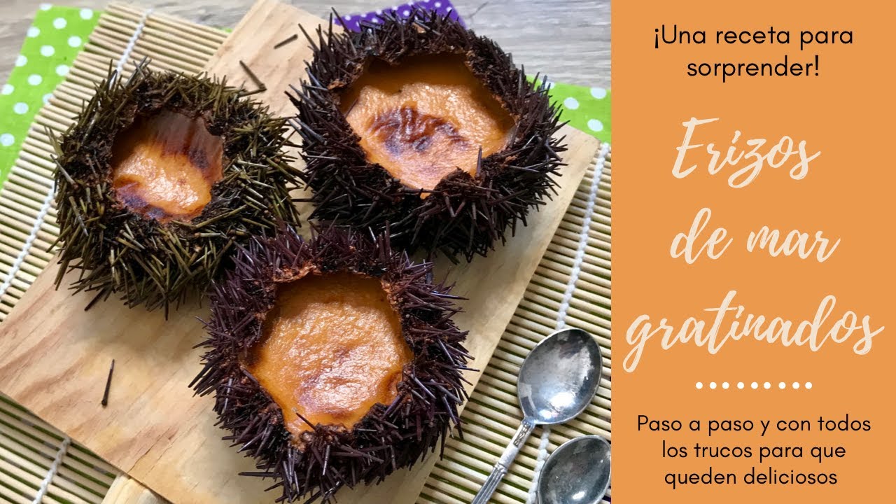 CÓMO HACER ERIZOS DE MAR u ORICIOS GRATINADOS⭐ Receta Deliciosa para ...