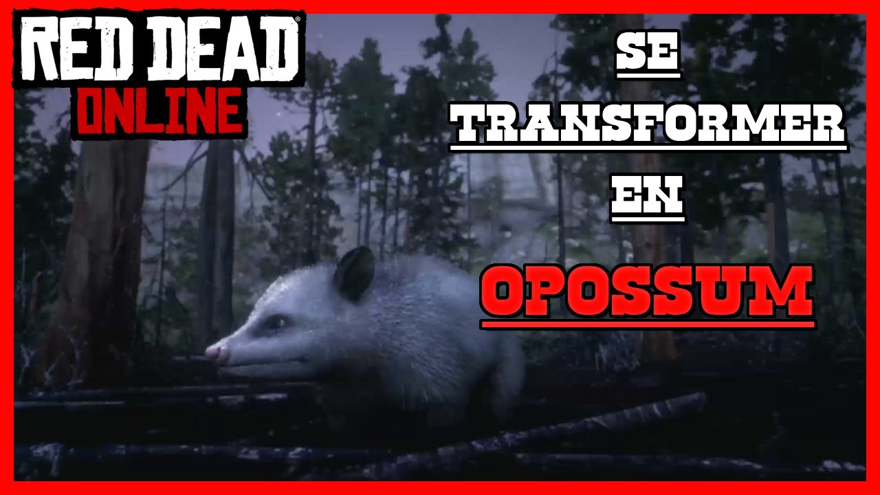 Comment se TRANSFORMER en OPOSSUM Red Dead Online - YouTube