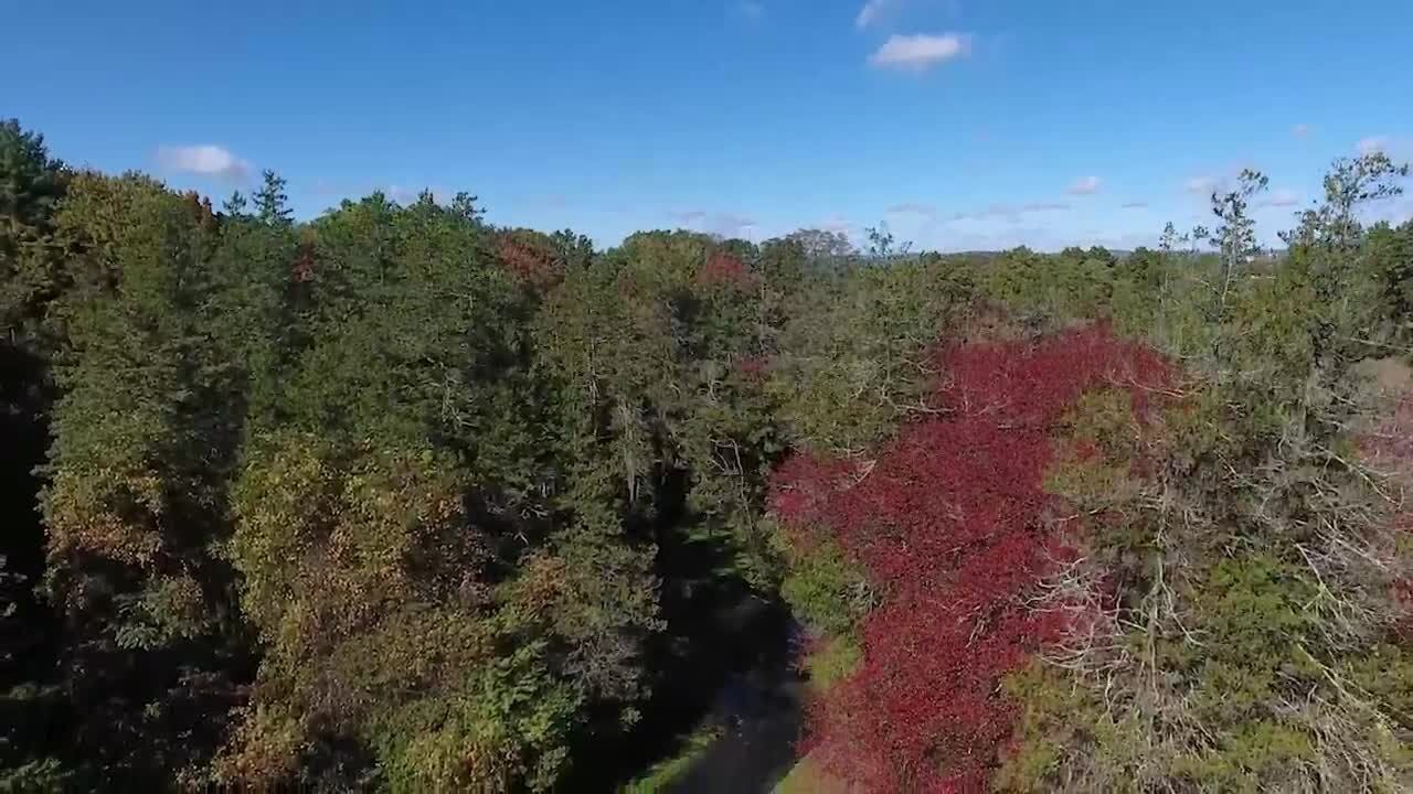 Scenic Western Mass: Fall at Forest Park - YouTube