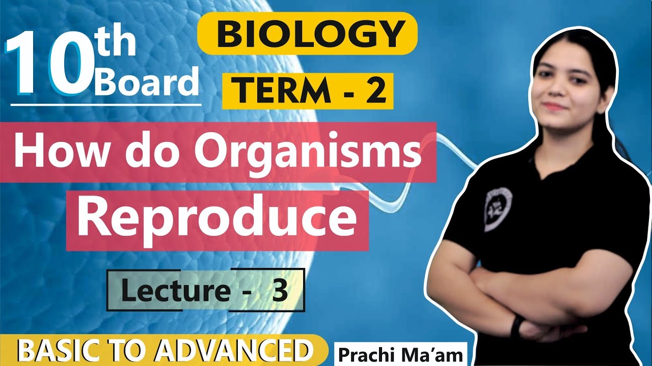 How do Organisms Reproduce Female Reproductive System | Lecture 3 Class ...