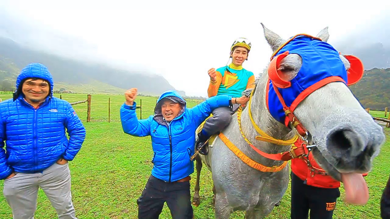 EL MORO, CABALLO GANADOR EN LAS CARRERAS A LA CHILENA, MAÑIHUALES - YouTube