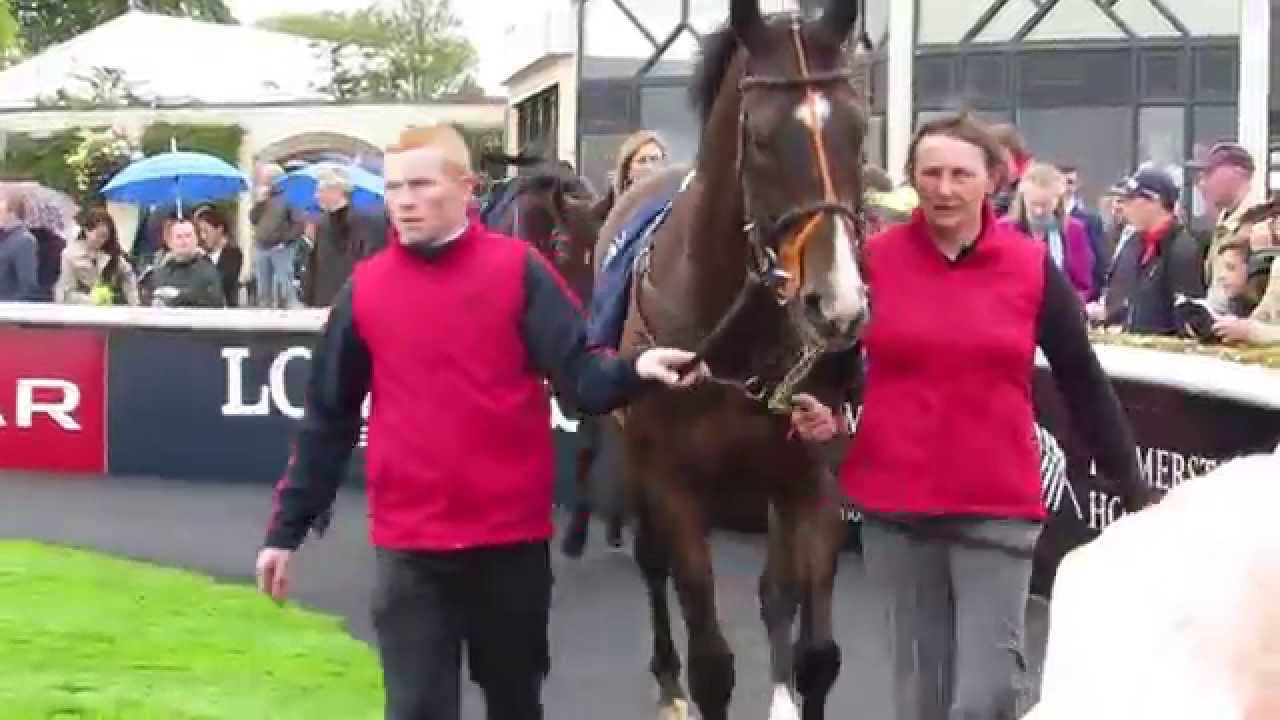 CURRAGH PARADE OF CHAMPIONS - YouTube