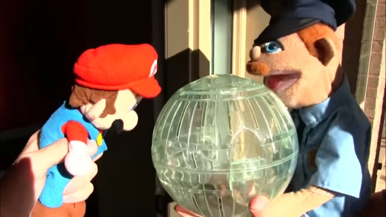 Brooklyn T Guy Gets A New Pet ! - YouTube