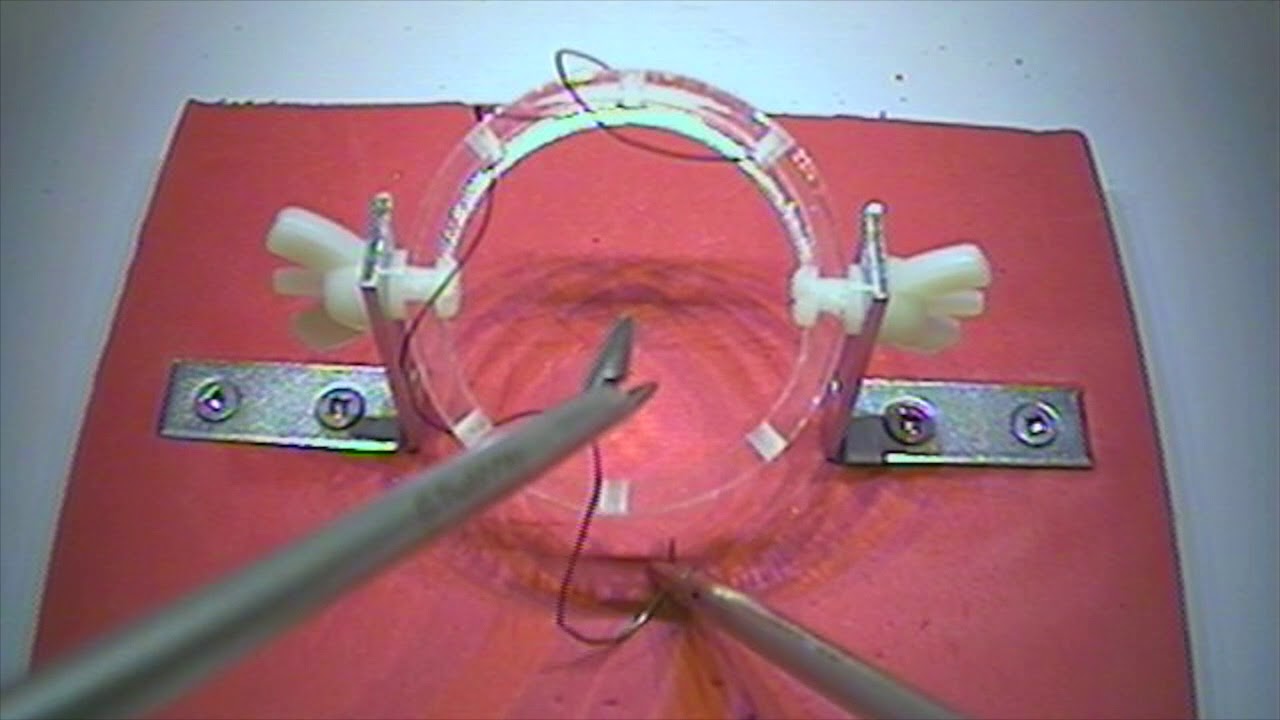 Needle handling complete - YouTube