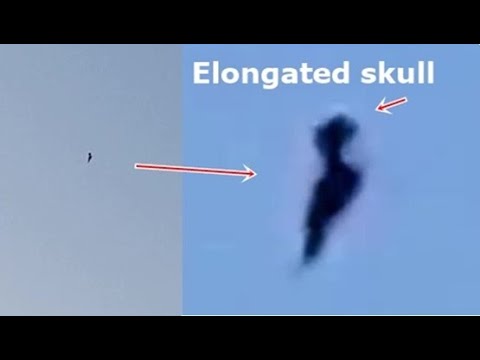 Flying humanoid with elongated skull and wings caught on video in ...
