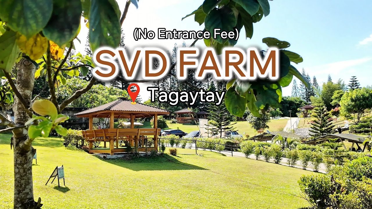 SVD Farm, Tagaytay City | pet-friendly | no entrance fee | 4KUHD - YouTube
