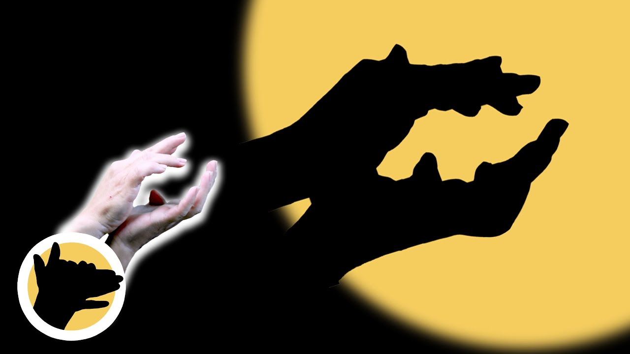How to Make a CROCODILE Shadow with Your Hands 🐊 - YouTube