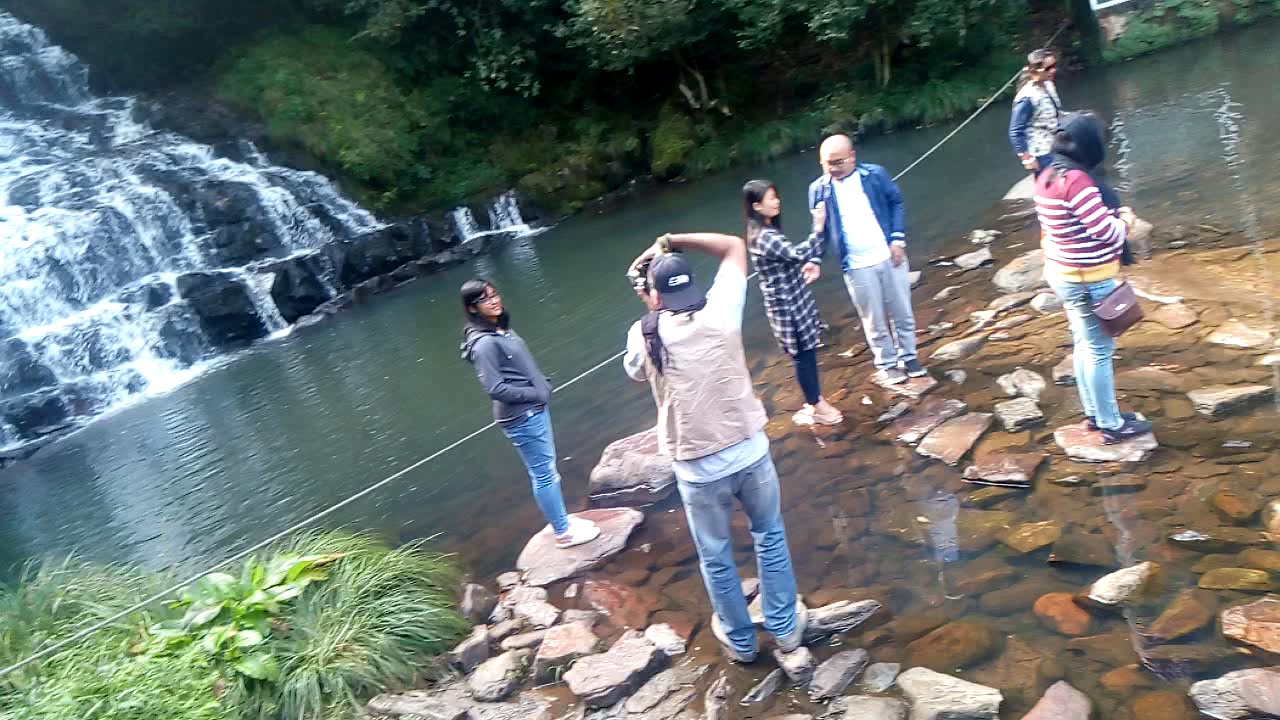 Assam video(3) - YouTube