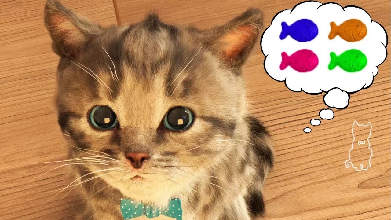Pequeño Gatito - Dibujos Animados Infantiles - YouTube
