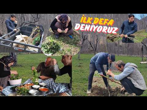 HER ÇEŞİT FİDANDAN DİKTİK l KÖYDE DOLU DOLU BİR BAHAR GÜNÜ