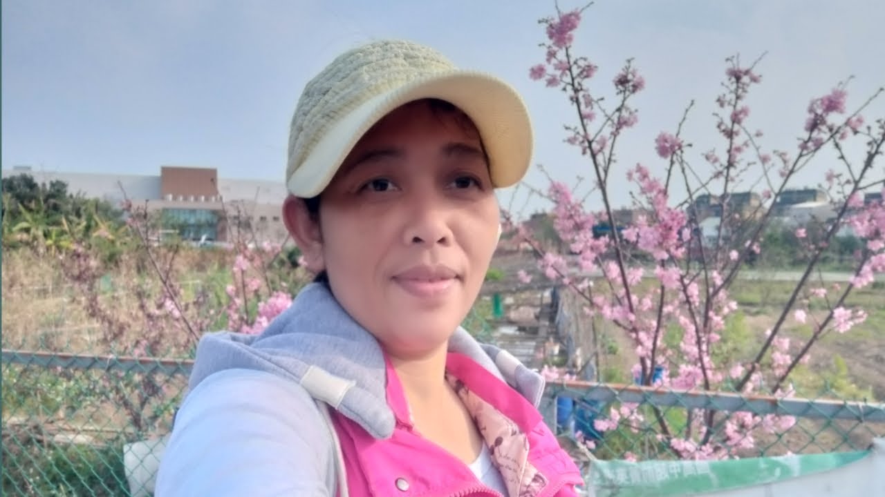 JALAN SORE DI SAMPING DANAU - YouTube