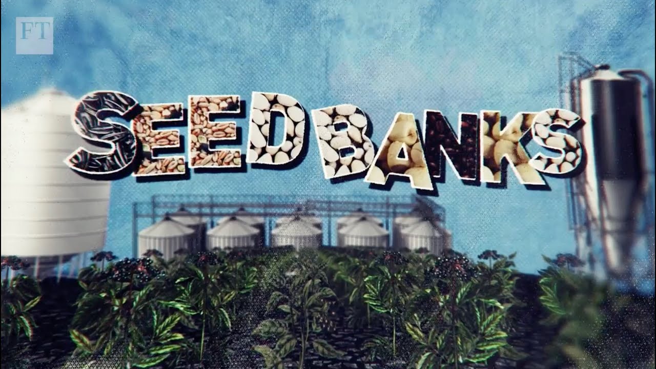 Como os bancos de sementes podem combater as ameaças à produção de ...