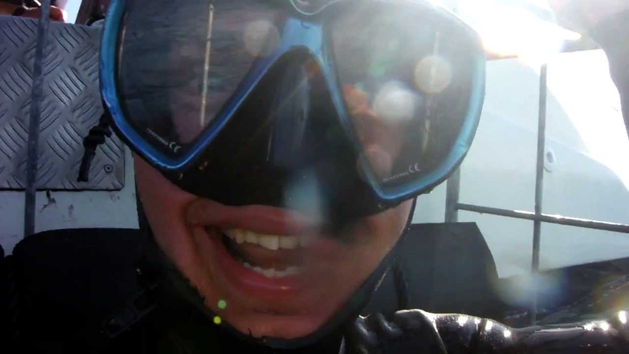 Fed oplevelse at være så tæt på en hvidhaj - Jesper Riber - YouTube