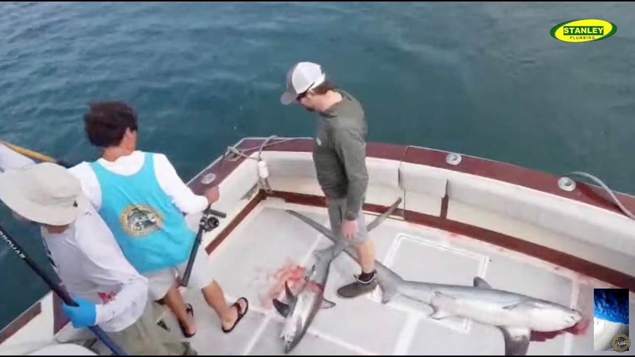 LIVE Shark Fishing! | Your Saltwater Guide Show w/ Captain Justin ...