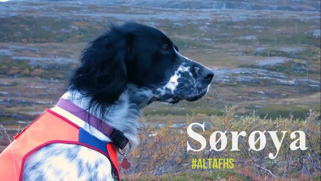 SØRØYA | Alta FHS | NajaRistiina - YouTube