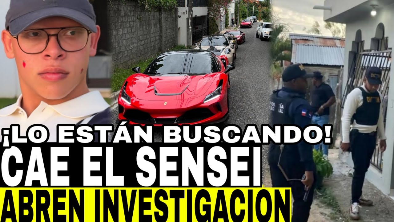 CAE EL TRADING DOMINICANO EL SENSEI ABREN INVESTIGACIÓN UNOS ...