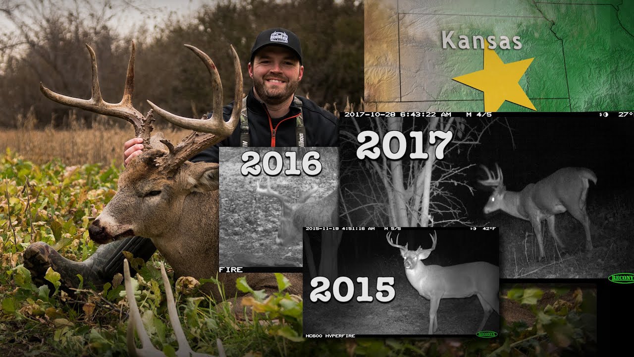 Over 4 Years of Hunting and Working on His 10 Acres for Jeff to Finally ...