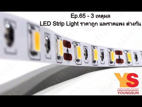 Ep.65 | 3 เหตุผลที่ LED Strip Light ราคาถูก และราคแพง ต่างกัน (LED ...