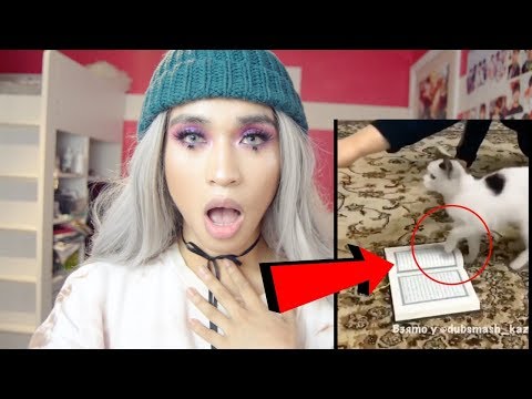 Catholic React To Cats Would Not Walk On The Quran (Experiment)