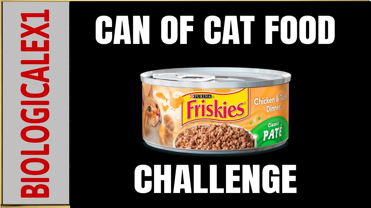 Cat Food Challenge By BioEX1 - YouTube