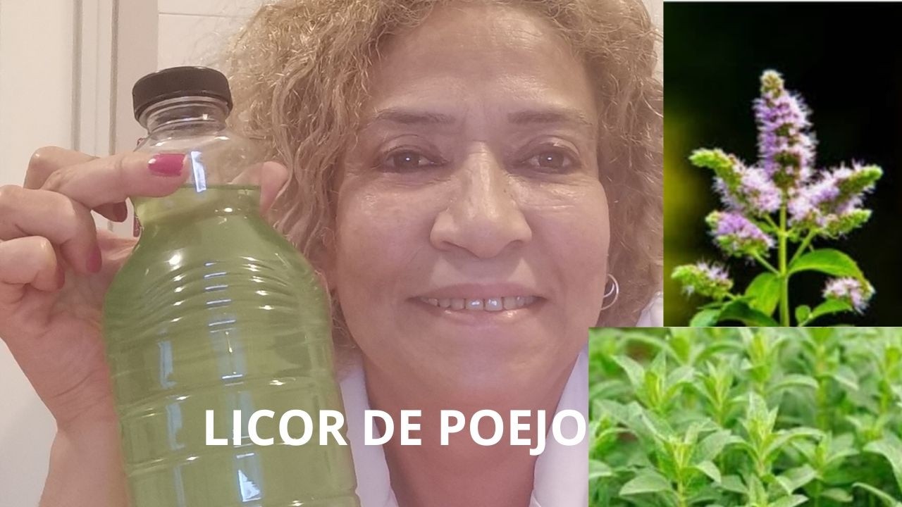 COMO FAZER LICOR DE POEJO -PLANTA AROMATICA - PLANTA MEDICINAL -Mentha ...