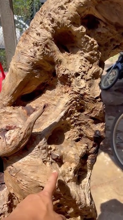 Cây nu căm xeCao 1,6m rộng 60 sâu 50cm. #godep #wood #woodworking - YouTube