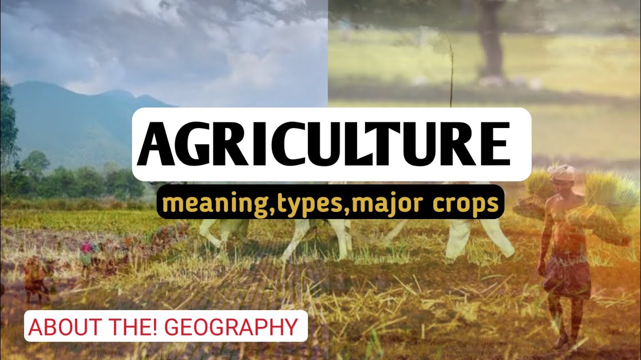 AGRICULTURE | MEANING, TYPES, MAJOR CROPS | ABOUT THE GEOGRAPHY | PART ...
