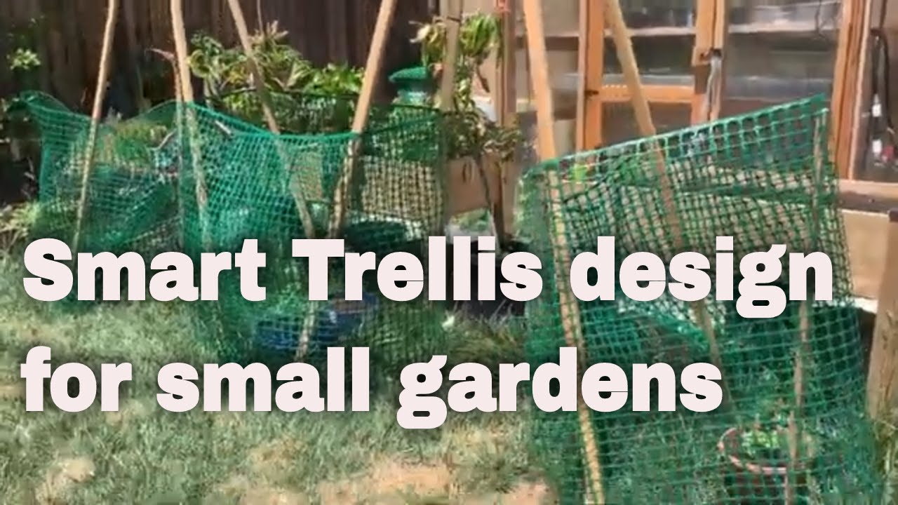 How to Build a Super Easy TRELLIS in your Garden /Perfect for Grapes ...