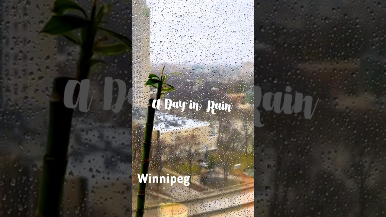 Tempted to spend a drizzly day indoors?It's worth heading outside even ...