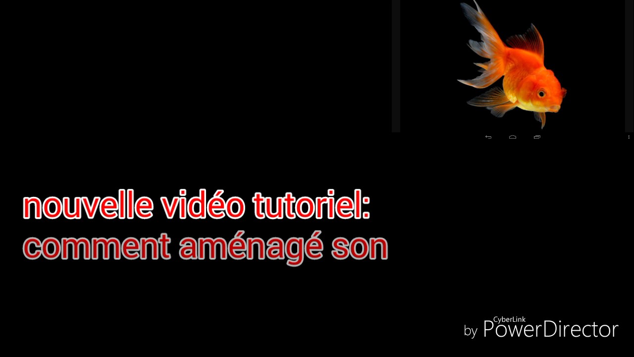 Tuto: aménagement d'un aquarium pour accueillir un poisson rouge - YouTube