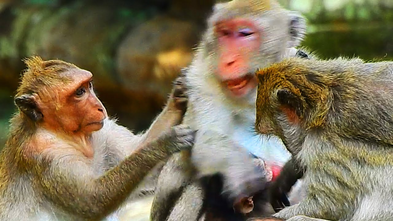 NO, NO...! JINX DON'T DO LIKE THIS ON JANE!!! - YouTube