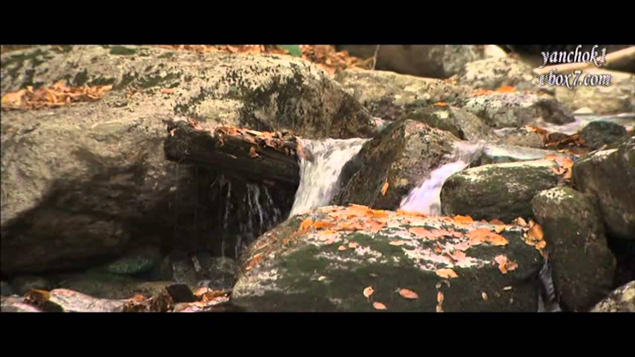 Stauros Konstantinou - Den mporo na se ksexaso ( Bulgarian translation ...