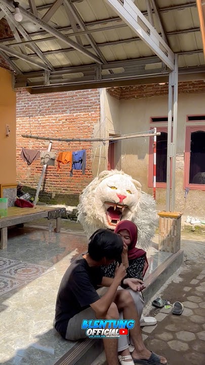 Lagi asik pacaran tangan cewe di gigit can macanan auto cowoknya serang balik can macanan - YouTube