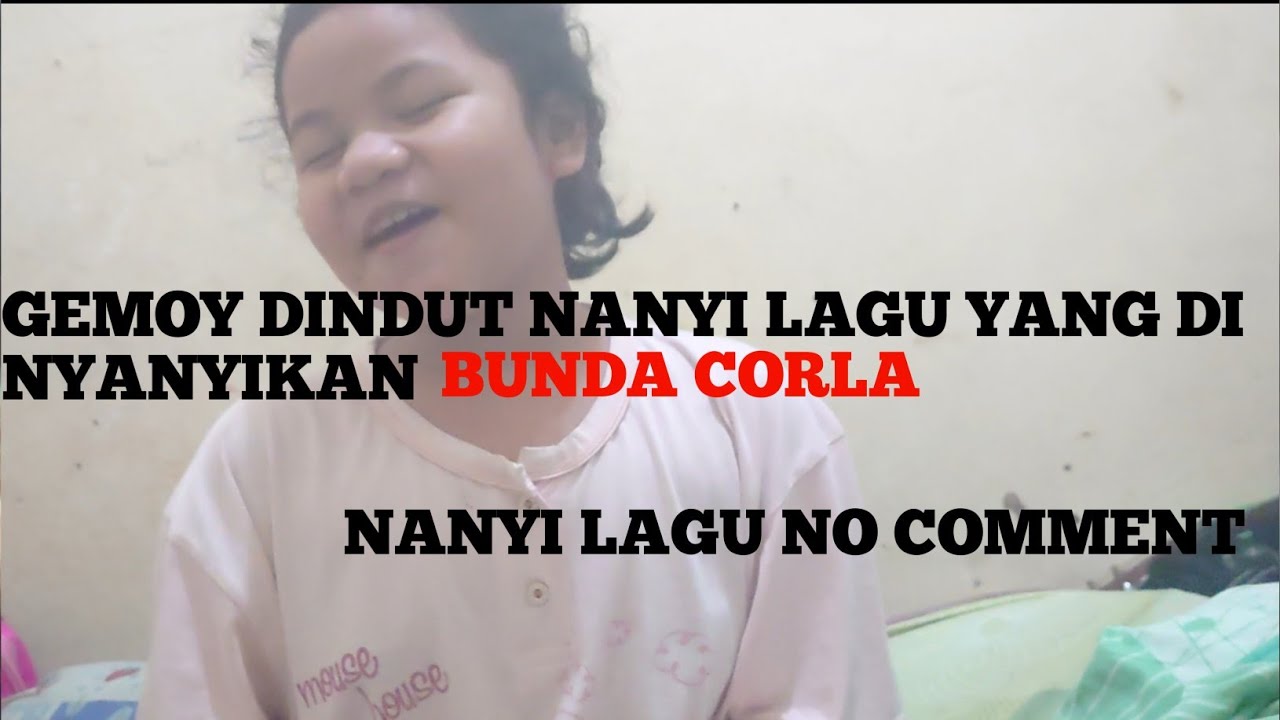 GEMOY DINDUT NYANYI LAGU NO COMMENT || LAGU VIRAL YANG SUKA DI NYAYIIN ...