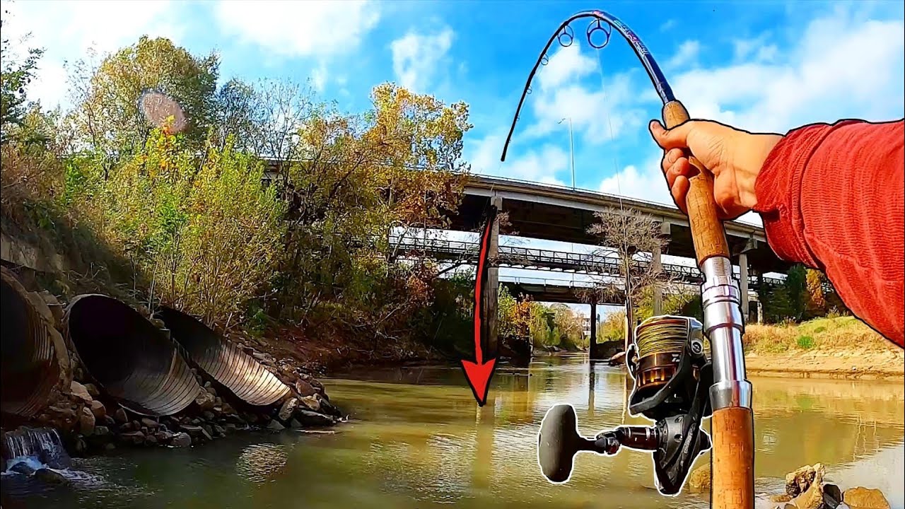 Most People Can't Catch A MONSTER Like This! (Could You?) - YouTube