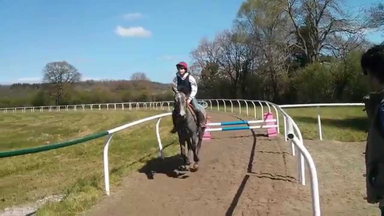 Lucy Blum riding Ed de Giles's Donald - YouTube