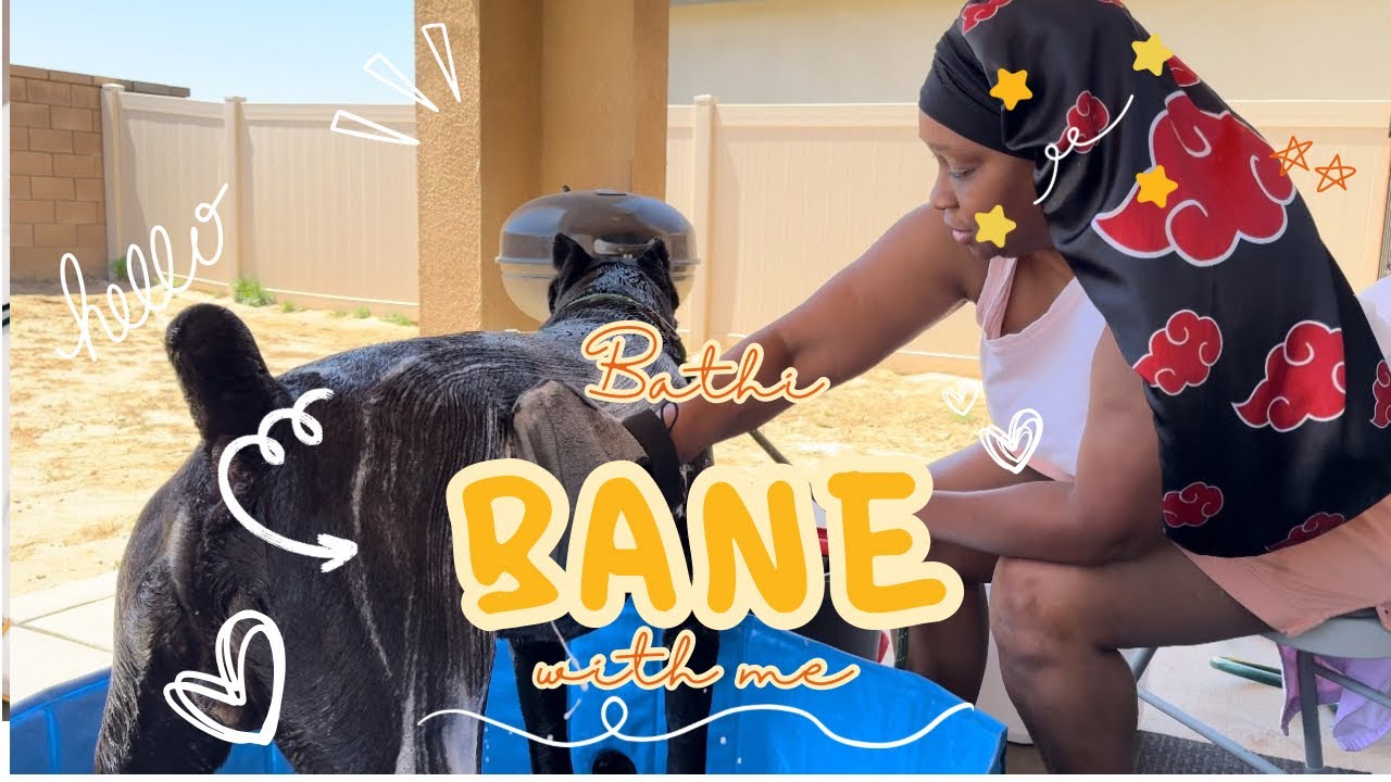 Bane's Sudsy Shenanigans: The Hilarious Bath Time Chronicles! - YouTube