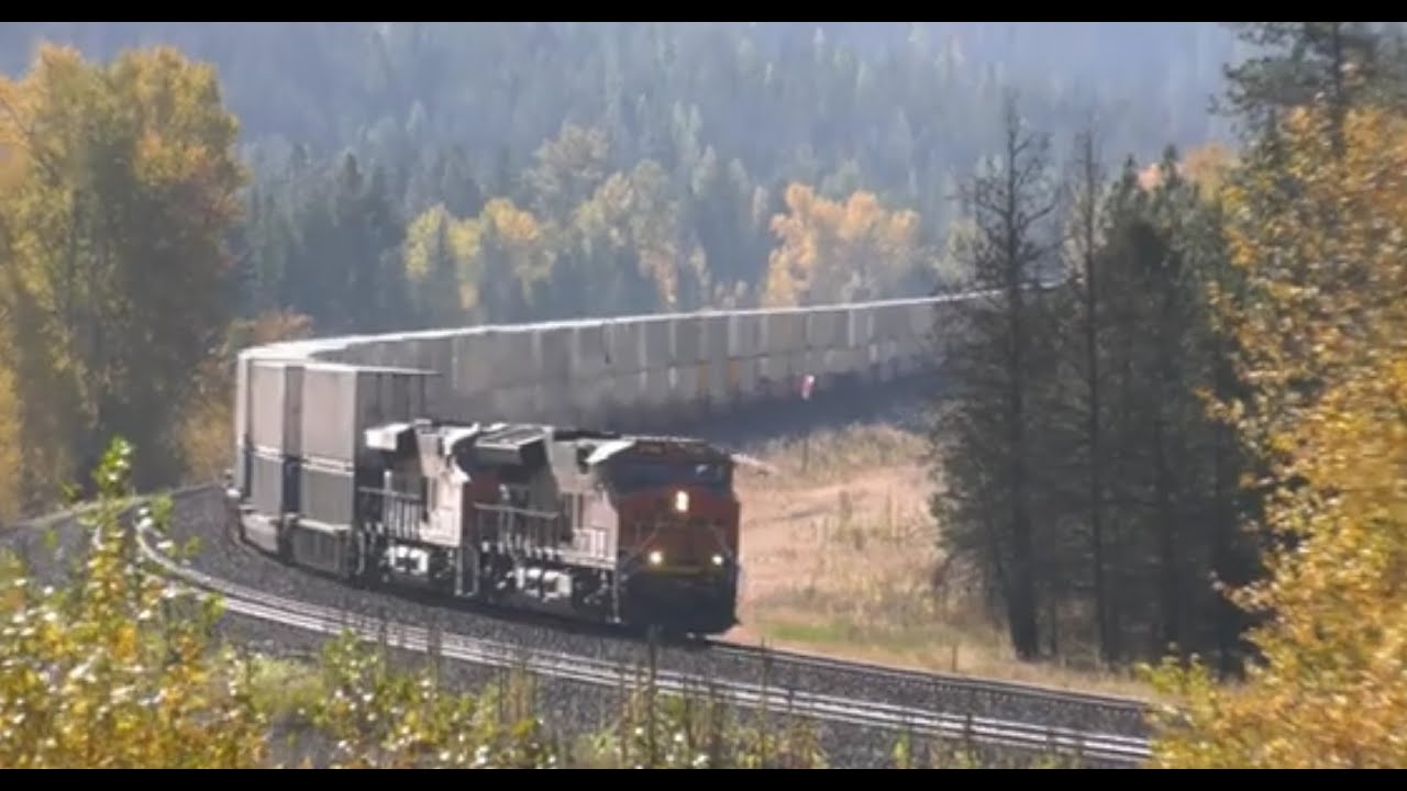 Two Long and Fast Z Trains and a Grainer - YouTube