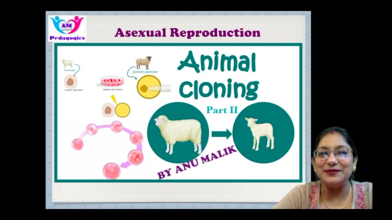 NEET 2022 - 2023 | ANIMAL CLONING (PART - 2) | STORY OF CUMULINA THE ...