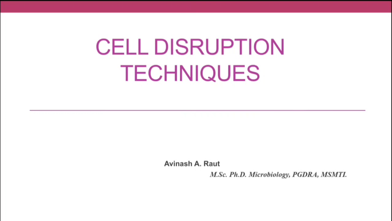 Cell Disruption Techniques Part 1 - YouTube