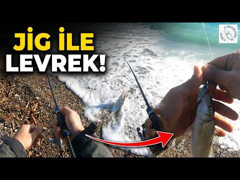 Jig İle Yakala Bırak Levrek Avı
