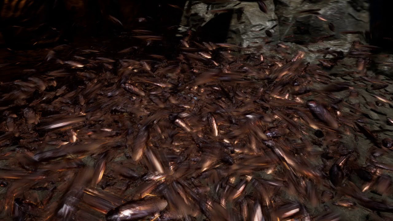 Ue4 Insect Swarm Niagara Youtube