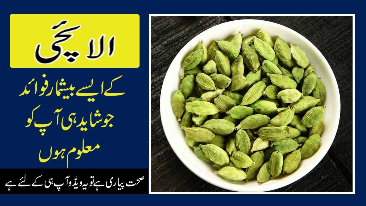 Amazing Benefit of Cardamom | Elaichi For Health Skin And Hair ...