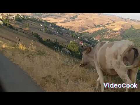 Yardimli Mountain Village - @markeliyahuofficial  Journey #yardimli #nature #village