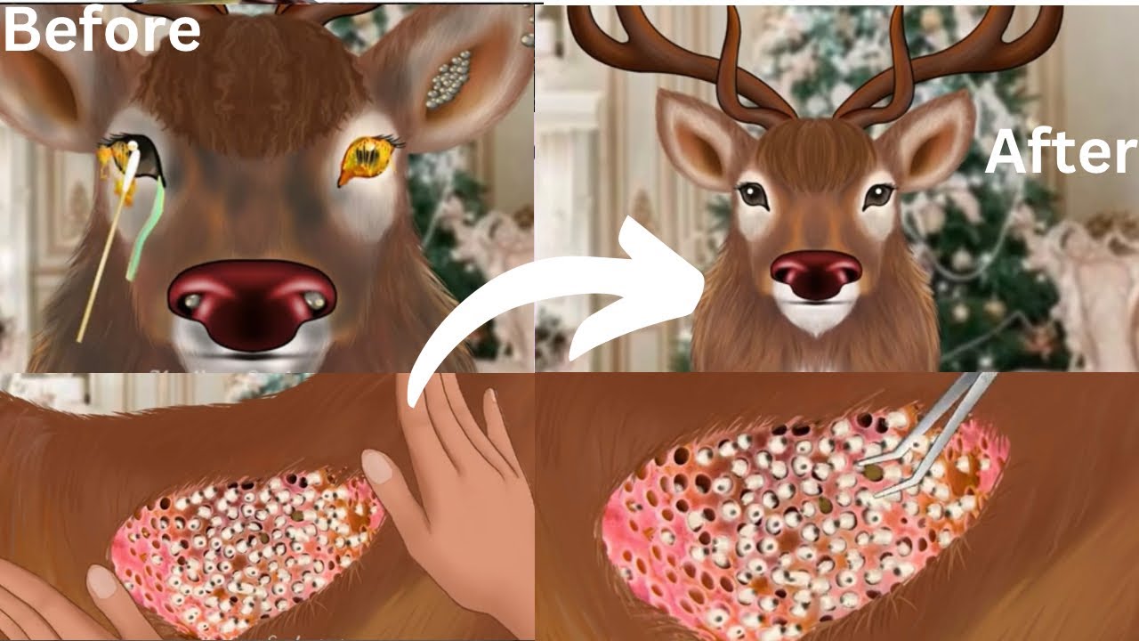 Transformation of Abandoned rein deer by Santa during Christmas | red ...