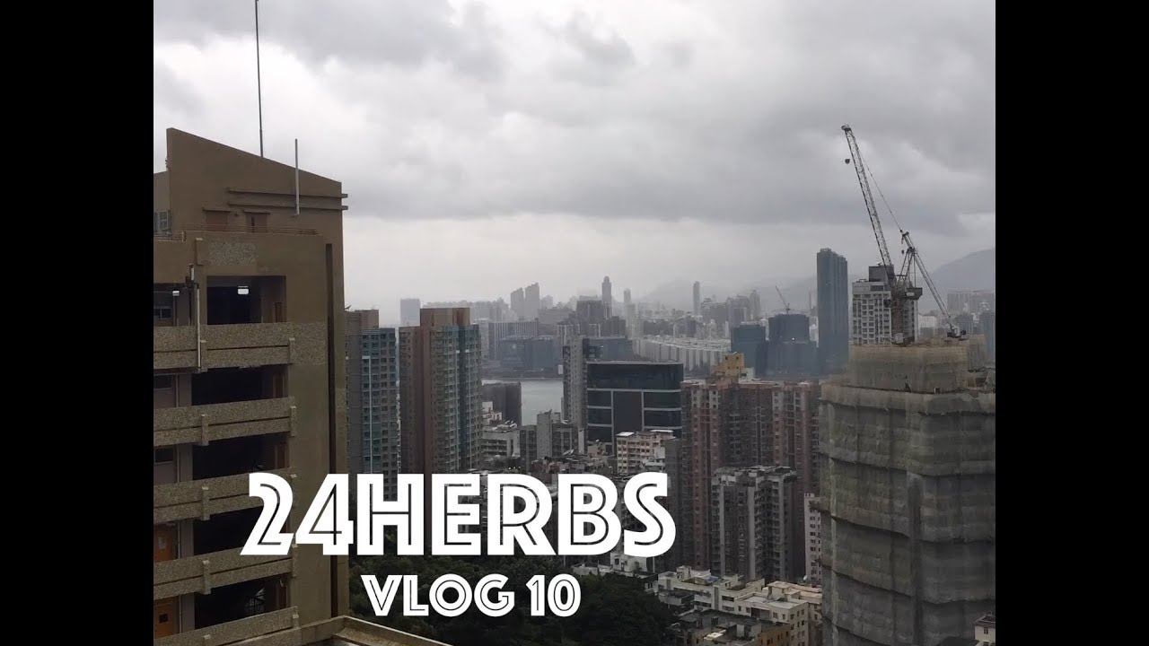 廿四味 24Herbs Vlog 10 Typhoon Signal 10 in Hong Kong - YouTube