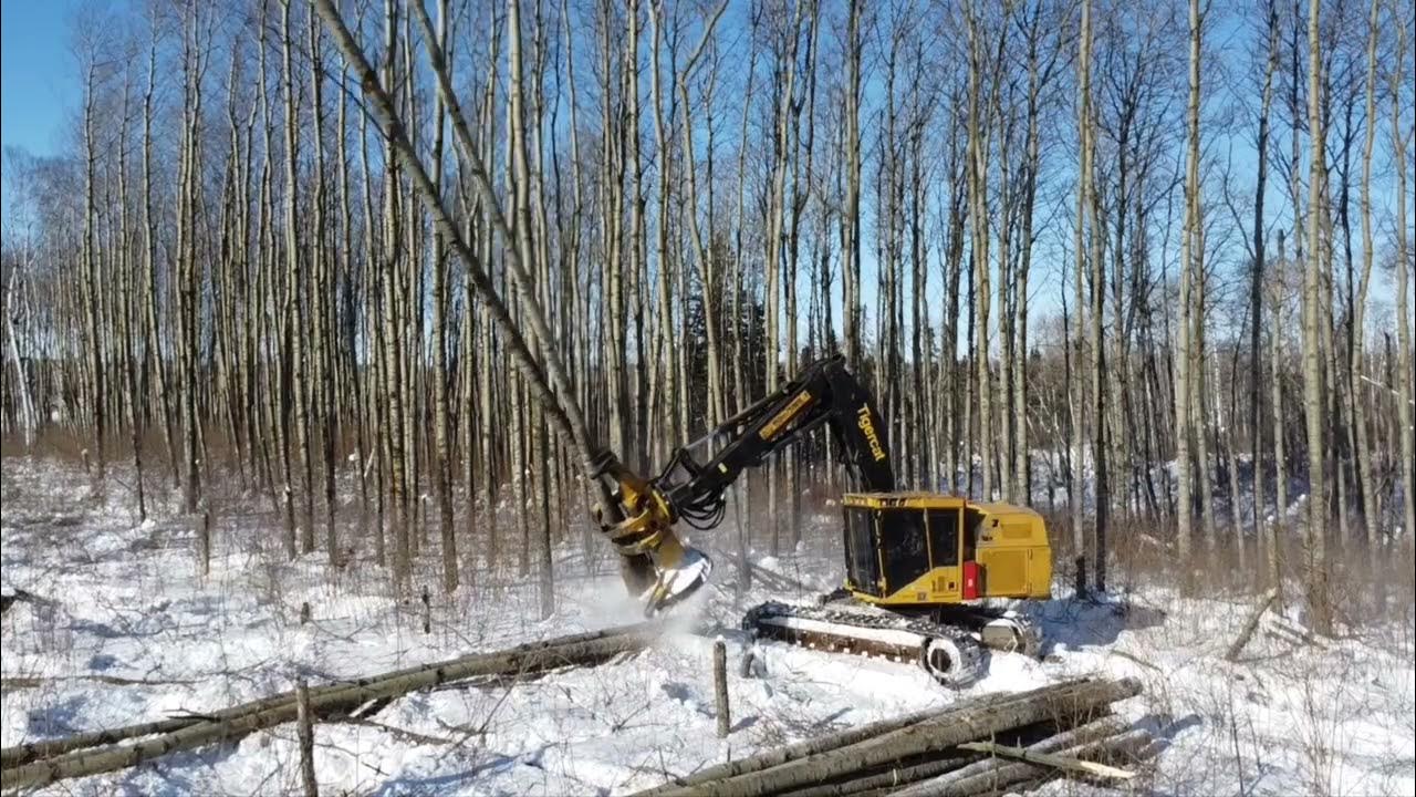 Saskatchewan logging - YouTube