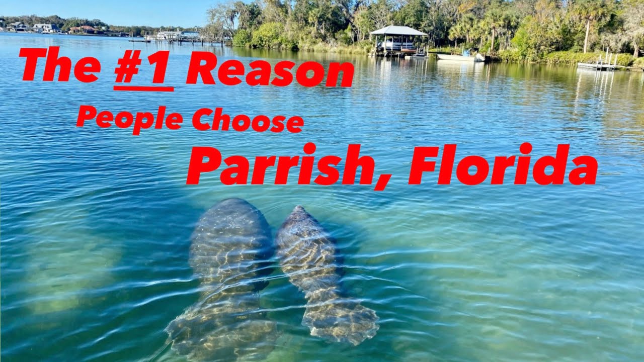 [The Pro] of The Pros and Cons of Parrish Florida (Living in Parrish ...