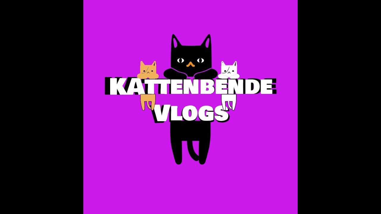 Kattenbende Vlogs welkom in de catskitchen - YouTube