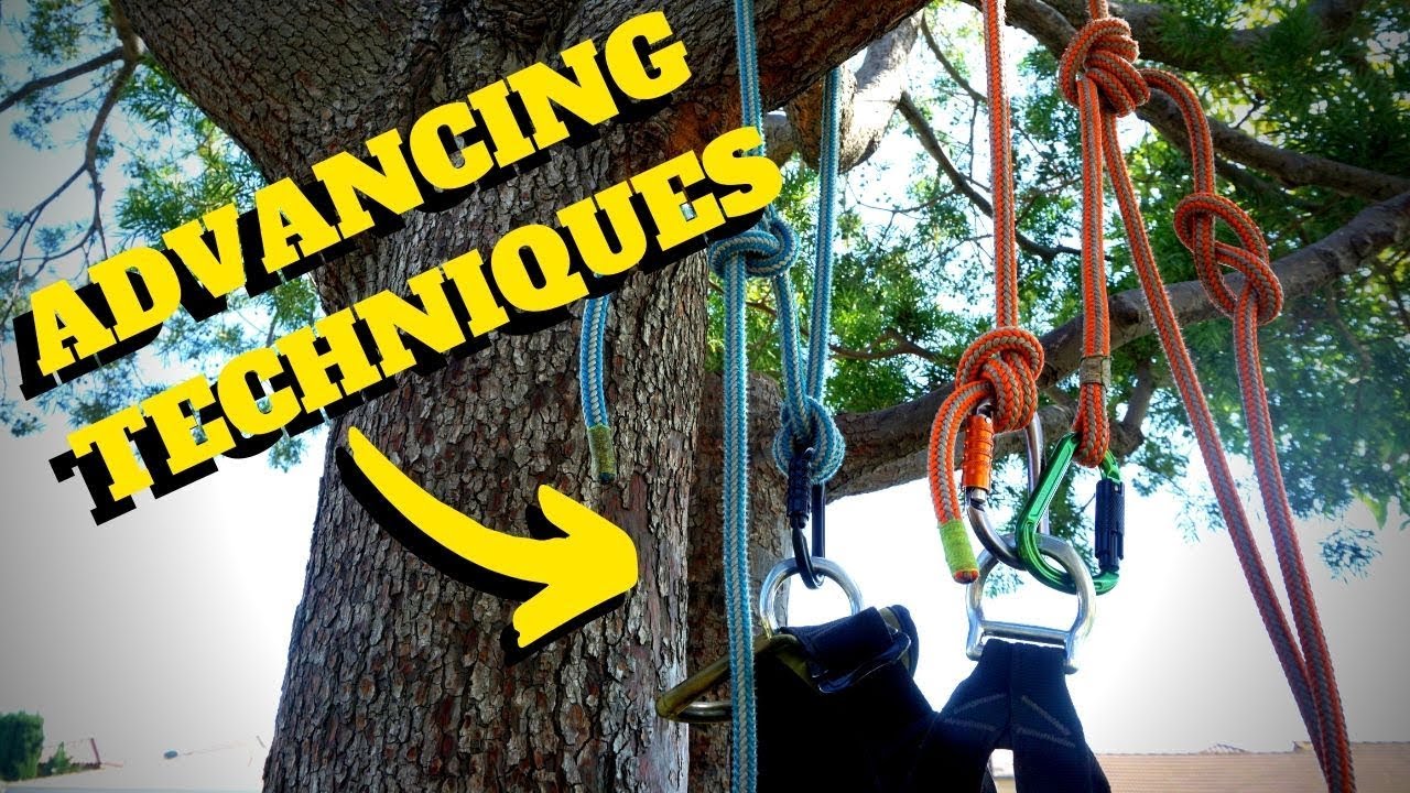 HOW TO ADVANCE A CLIMBING LINE- Intro to Tree Climbing W/ Bino H & Noah ...